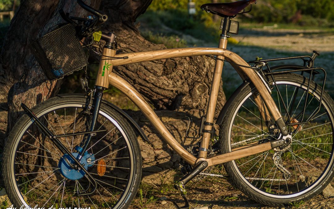 Bamboo bike | Au bambou de mes rêves - Vélo en fibres de bambou
